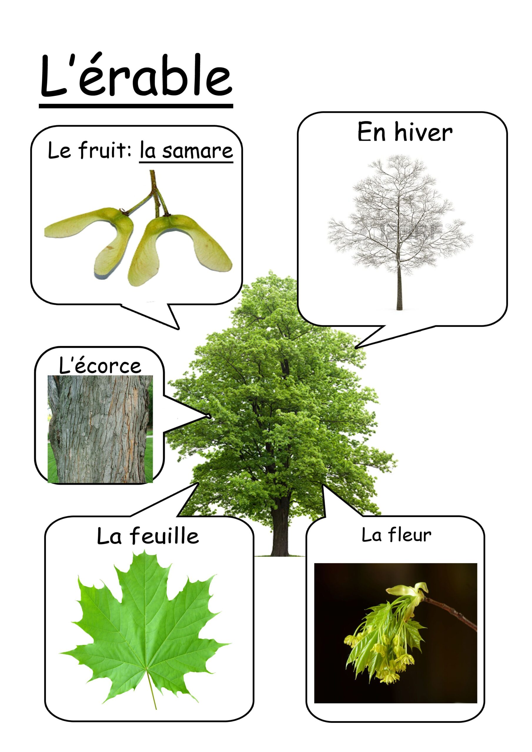 Activités pour les élèves de CP/CE1 de Mme MOUROT – Groupe Scolaire ...